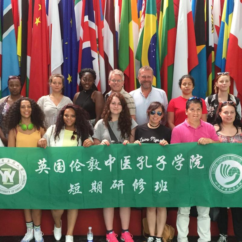 About The Confucius Institute for Traditional Chinese Medicine (CITCM)